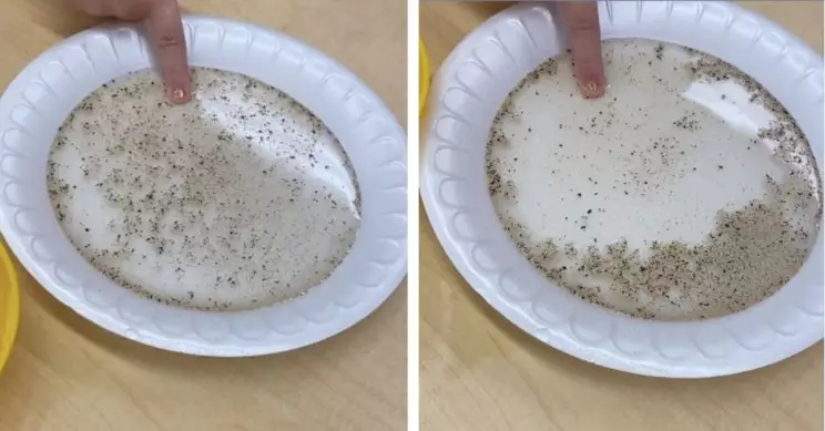 Maestra usa ingenioso experimento para mostrar a los niños cómo lavarse las manos combate el coronavirus