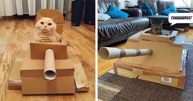 La gente está construyendo tanques de cartón para sus amigos gatos en medio de la cuarentena