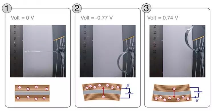 Fibra tal-Karbonju li tibdel il-forma tista 'tintuża fl-aerodinamika, ir-robotika, u aktar