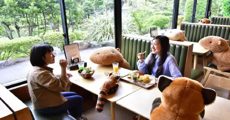 Hračkárske kapybary sa teraz používajú ako sociálne dištančné nástroje v japonskej zoo