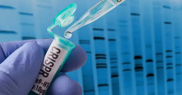 CRISPR verwyder genetiese siektes van 3 mense in eksperimentele studie