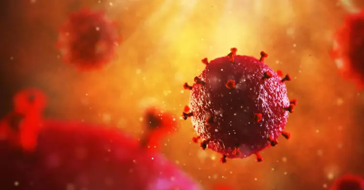 L-HIV Jista' Jaħbi fiċ-Ċelloli tal-Moħħ Sakemm jintemm it-Trattament Antiretrovirali