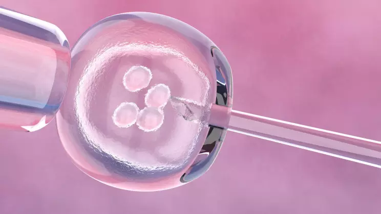 L'estudi revela que la infertilitat en els homes augmenta el risc de càncer de mama