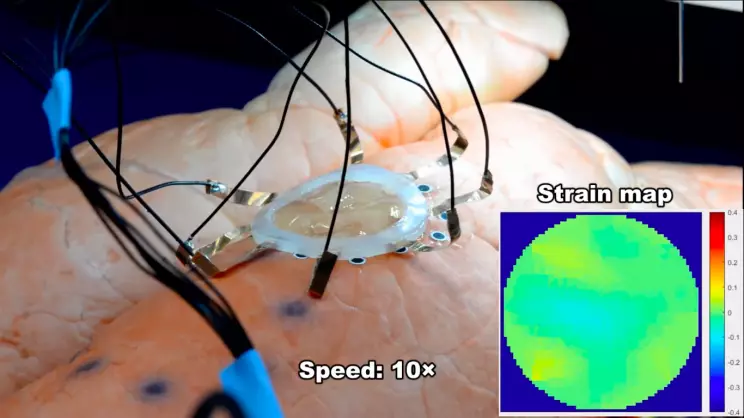 Sensor Pencetakan 3D Langsung Ke Organ yang Berkembang Sekarang Mungkin