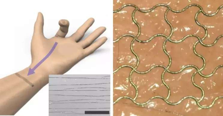 Głębokie uczenie się skóry elektronicznej może dekodować złożony ludzki ruch