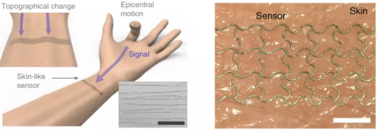 Електронна шкіра глибокого навчання може декодувати складні рухи людини