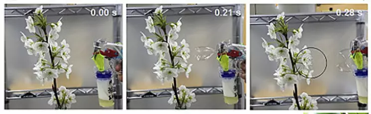 Drony vybavené bublinovými pistolemi opylují květiny, když včely ubývají