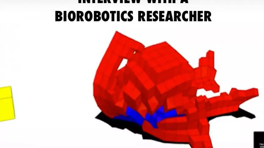 Eksklusiewe onderhoud met 'n BioRobotics-navorser