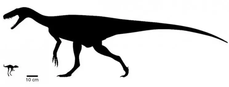 वैज्ञानिकों ने मेडागास्कर में डायनासोर के पूर्वज की खोज की हो सकती है