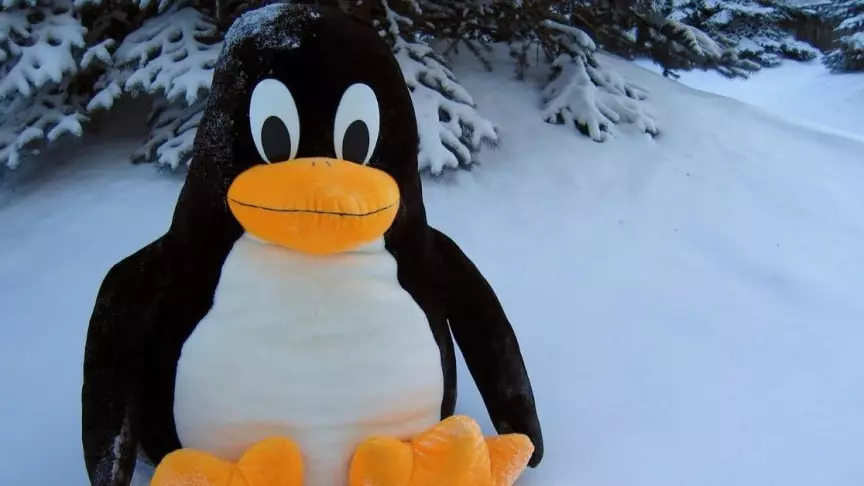 Software-ûntwikkelders hâlde fan Linux: hjir is wêrom