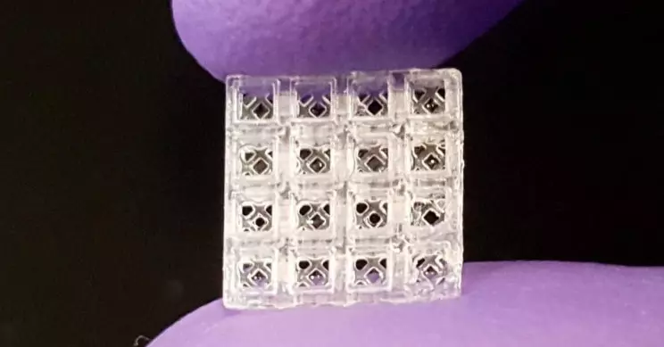 বিজ্ঞানী প্রকৌশলী 3D-প্রিন্টেড ইট যা হাড় এবং নরম টিস্যু মেরামতে সাহায্য করে