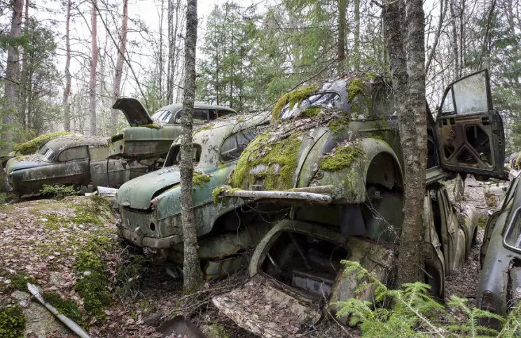 Argazkilaria Dokumentuak Suediako Autoen Hilerria Abandonatua