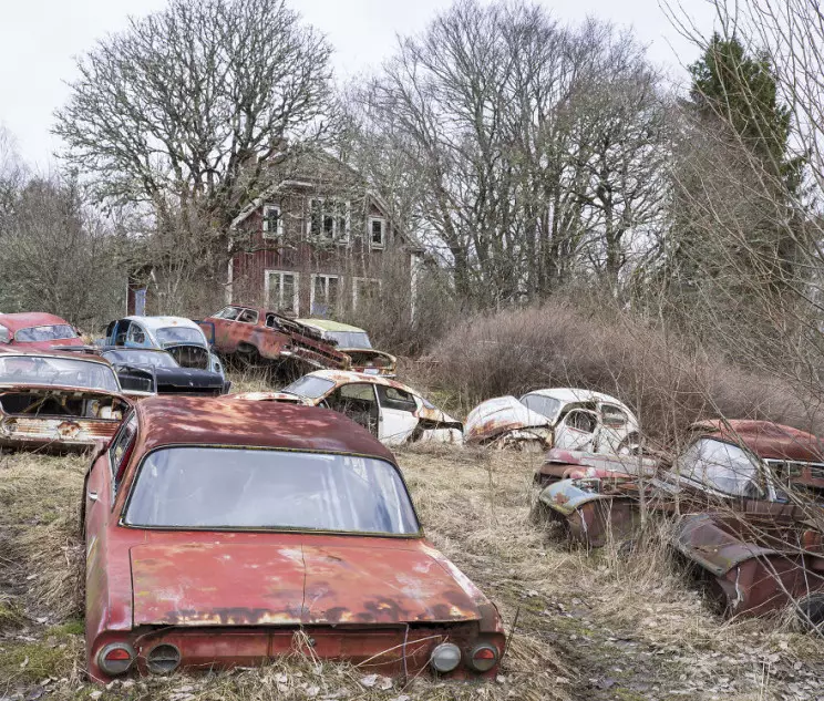 Argazkilaria Dokumentuak Suediako Autoen Hilerria Abandonatua