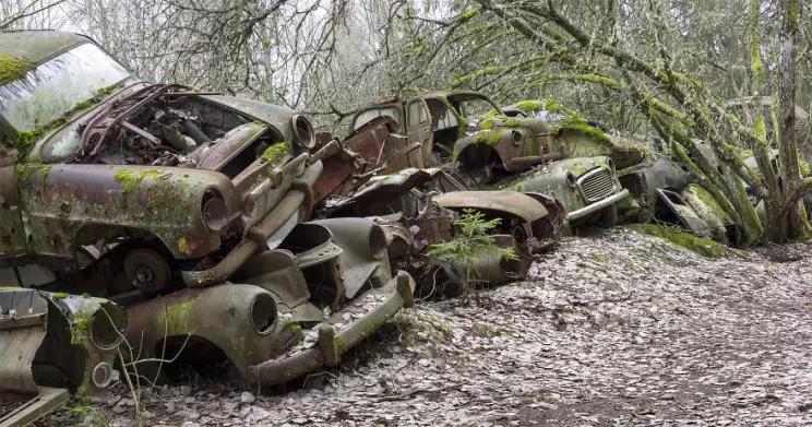 Argazkilaria Dokumentuak Suediako Autoen Hilerria Abandonatua