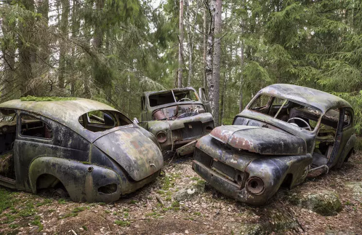 Argazkilaria Dokumentuak Suediako Autoen Hilerria Abandonatua