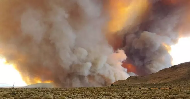 Kalifornië het sy eerste vuurtornadowaarskuwing ooit gekry