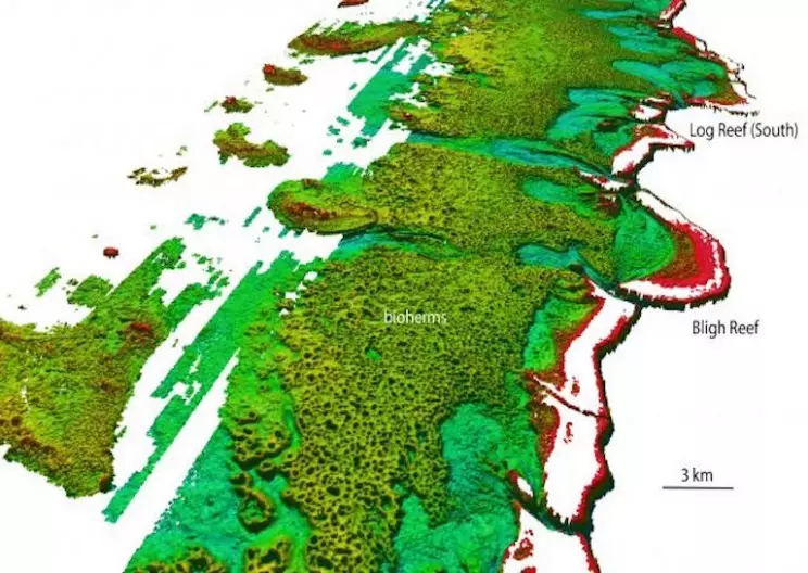 Des chercheurs viennent de découvrir un récif caché derrière la Grande Barrière de Corail