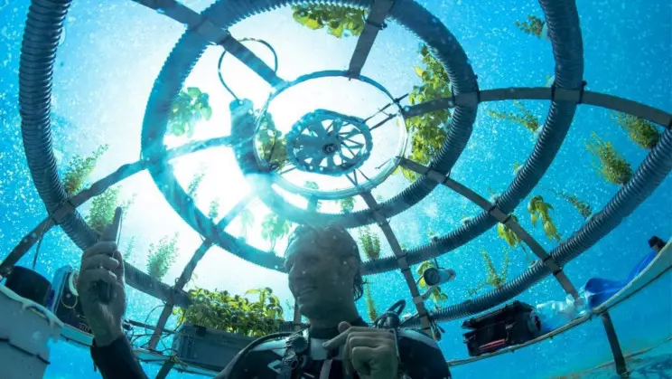 Ein neues Unterwassergewächshaus könnte die Zukunft der Landwirtschaft aufzeigen