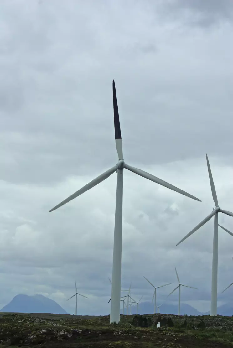 Ang Pagpintal sa mga Wind Turbine nga Itom Makapamenos sa Kamatayon sa Langgam sa 70%