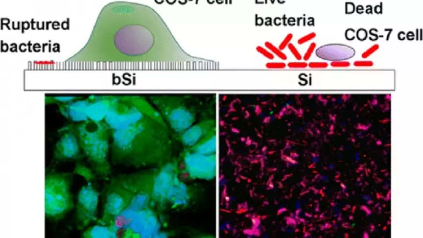 Nova Nanomaterialo Detruas Bakteriojn