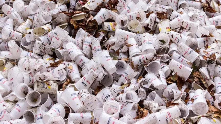 La Francia vieta l'uso di stoviglie, piatti e bicchieri di plastica