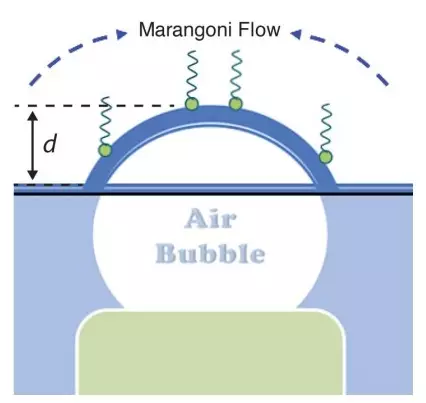 marangoni-lif