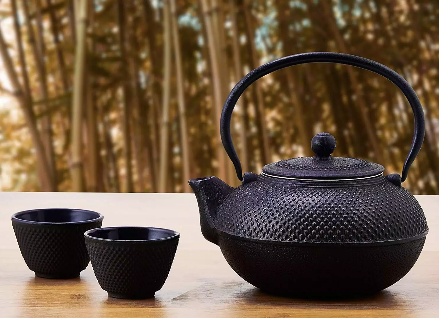 kitchen-tools-guro-cast-iron-sigma-teapot