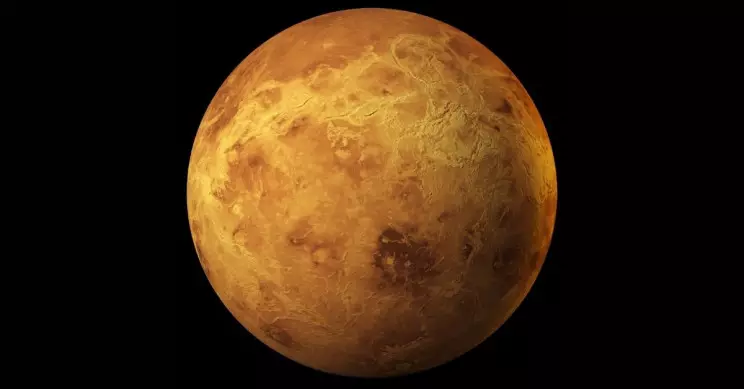 Alien libbenstekens mooglik ûntdutsen op Venus, seit stúdzje