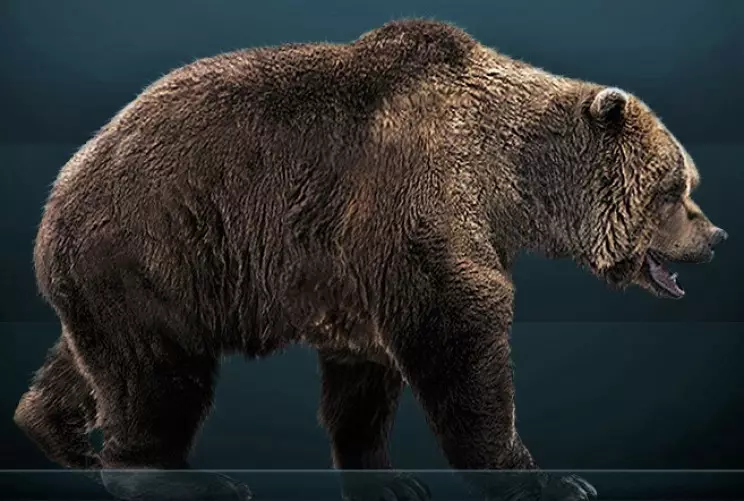 गुहा अस्वल जिवंत असताना कसे दिसत होते