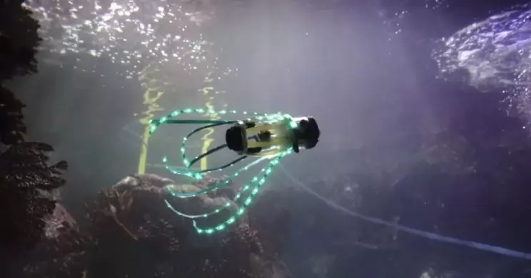 Squid Robot Yakagadzirira Kupfura Pasi pemvura