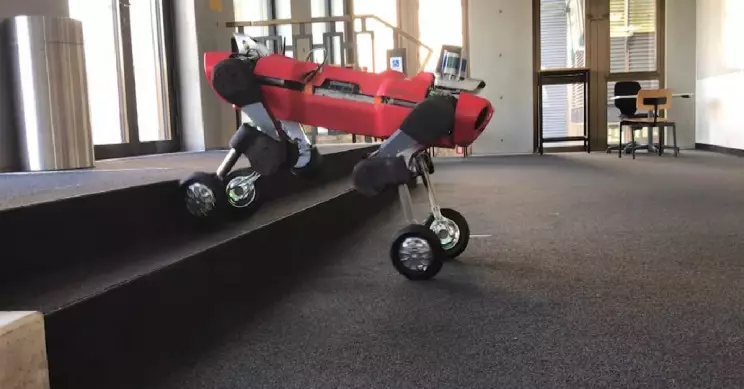 Հանդիպեք ANYmal. Էներգաարդյունավետ Roller-Walking Robot-ին