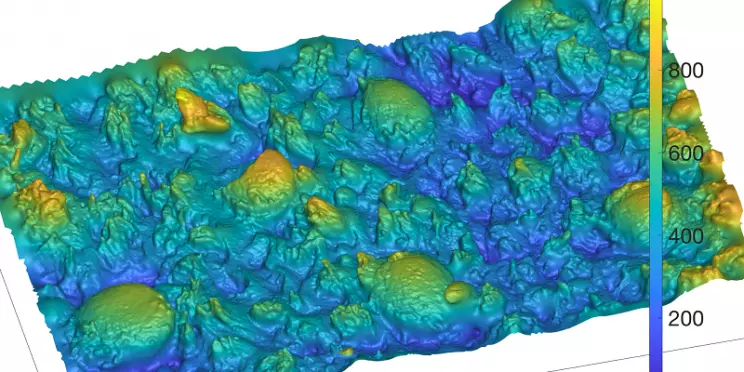 વૈજ્ઞાનિકોએ સૌપ્રથમ બાયોમિમેટિક જીભની સપાટીને 3D પ્રિન્ટ કરી