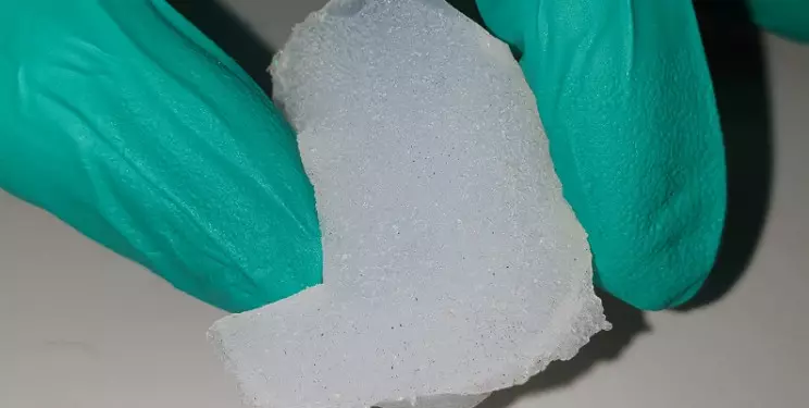 Окумуштуулар тилдин биринчи биомиметикалык бетин 3D басып чыгарышты