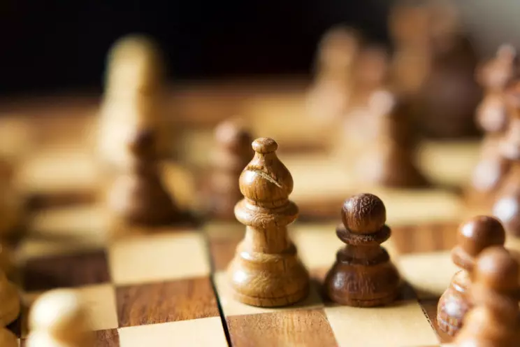 iindlovukazi gambit chess