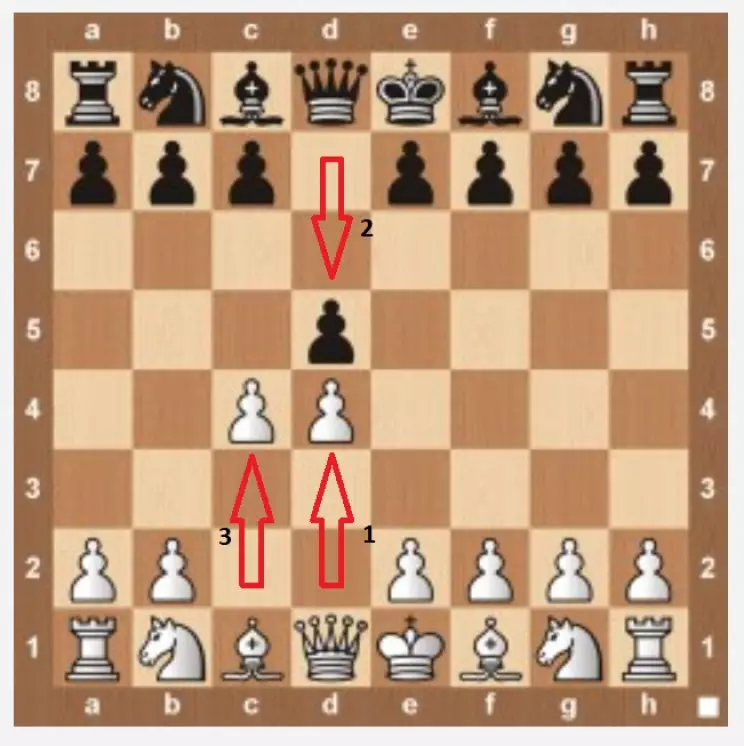 queens gambit se kreće