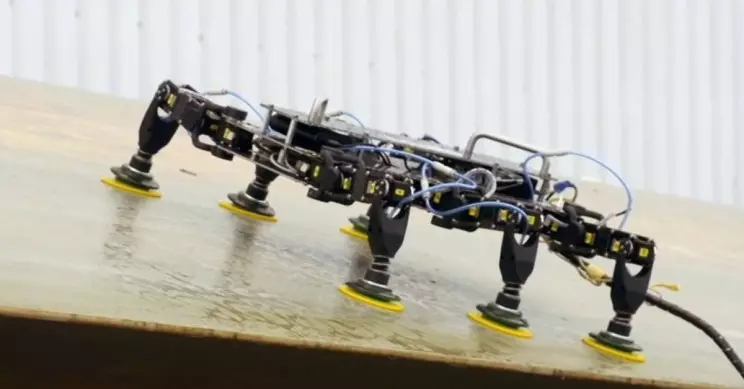 სარემონტო რობოტი დადის ქარის ტურბინის დანაზე მსოფლიოში პირველი