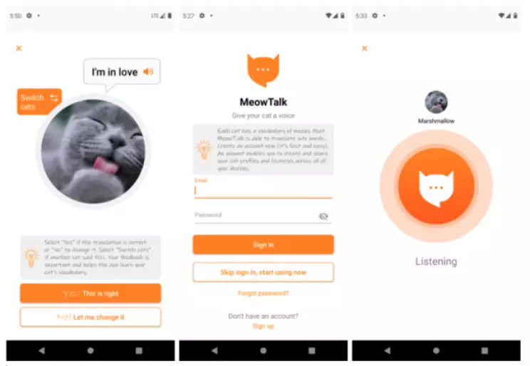 Ex-Amazon Engineer navrhuje aplikaci, která údajně překládá Cat Meows