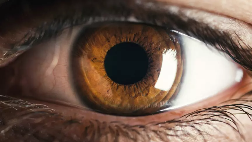 科學家剛剛使人眼中的感光細胞恢復了生命