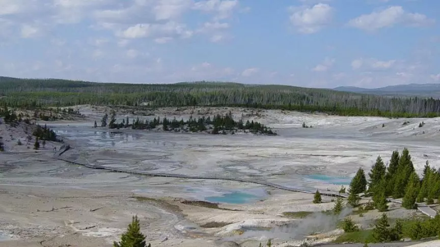 Mirovek di 'Hot Pot' a Acidic de li Parka Neteweyî ya Yellowstone dimire