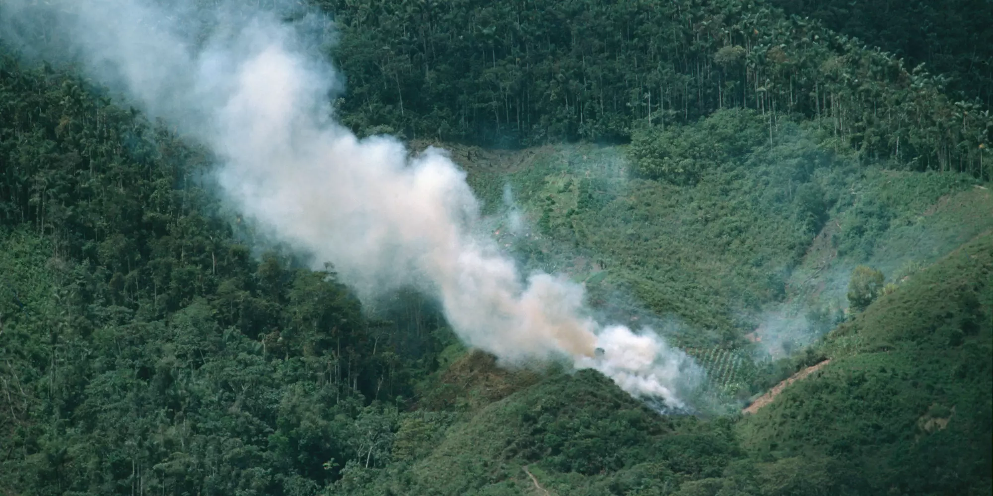 Amazon - Peru, nærhed Satipo, skovrydning, Slash And Burn Migrant Farmer Cleaning Land, Hele dalen, der engang var skovbevokset, er blevet ryddet, og kun de stejle skråninger er tilbage. Få bosættere har erfaringen eller viden til at dyrke den dårlige jord på skråninger for nylig under skovdække , Få generer terrasser, Jorden forbliver sjældent produktiv i mere end et par år, og de er tvunget til at gå videre, Slash and burn landbrug er nu den største årsag til skovødelæggelse, (Foto af Universal Images Group via Getty Images)