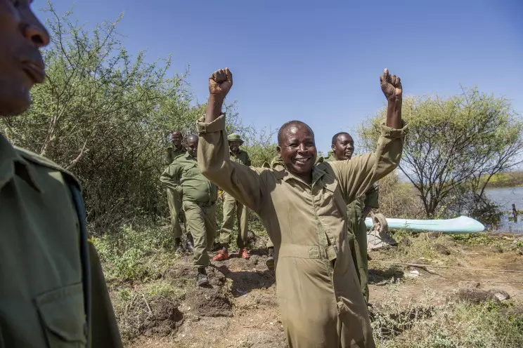 Ua Fau e Nuu e Laveai ai Giraffes Mai Motu Lologa i Kenya