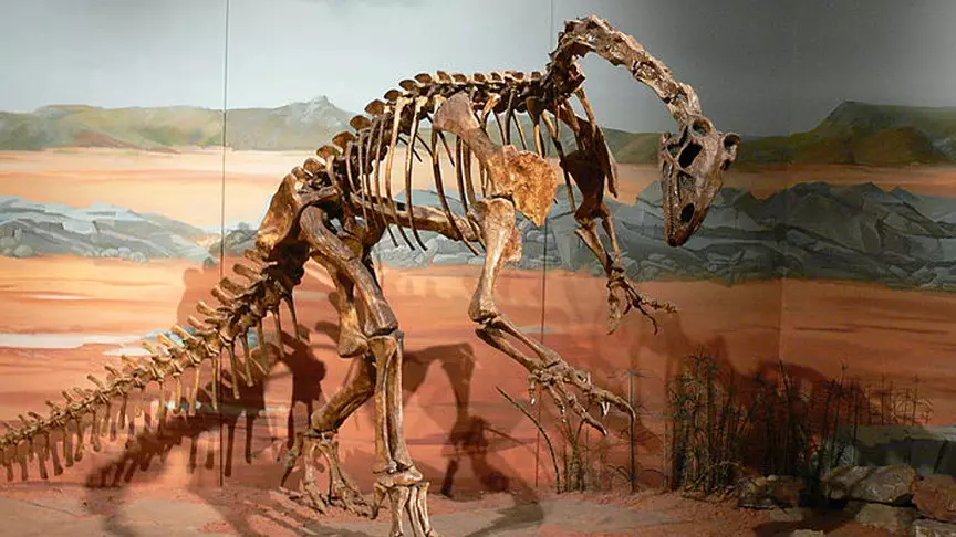 Научниците повторно го изградија мозокот на еден од најстарите диносауруси