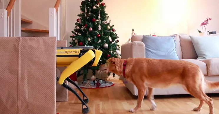 ロボットが孤独な犬のクリスマスブルースを溶かすのを見つけてください