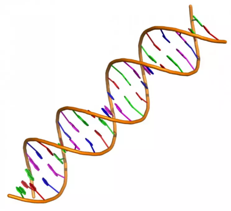 dupla hélice do DNA