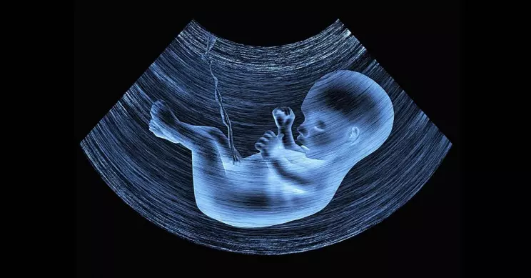 Des microplastiques trouvés à l'intérieur des placentas de bébés à naître, selon une étude