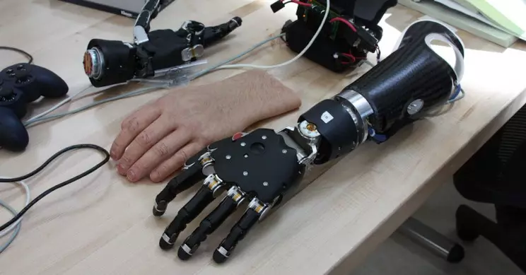 opolo prosthetic