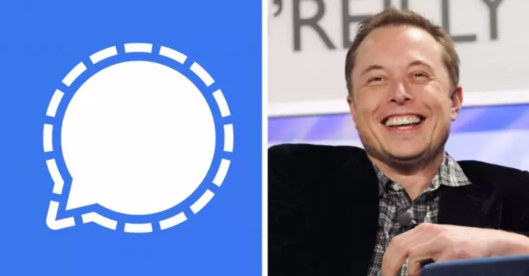 It oantal sinjaalbrûkers nimt ta nei Elon Musk's tweet, feroaring fan Whatsapp-belied