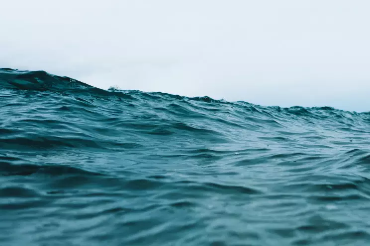 氟納米結構的海水淡化速度比碳納米管快 2,400 倍