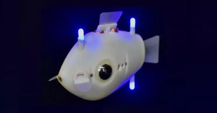 Naghimo ang mga Siyentista og Panon sa Na-synchronize nga Sama sa Isda nga mga Robot