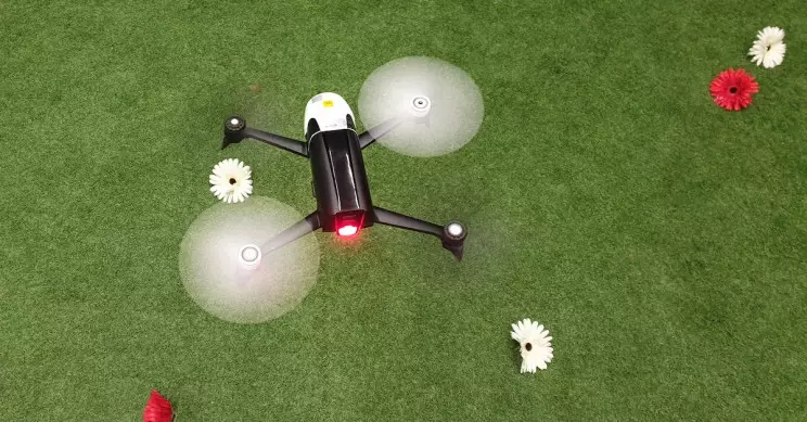 I-Bio-Inspired Drones Ifunda Ukwakheka Ukuze Kuthuthukiswe Umbono we-AI